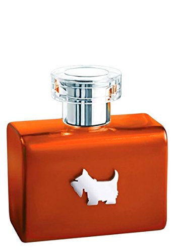 Los 5 Mejores Modelos De Ferreoni