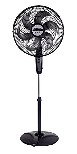 Los 5 Mejores Modelos De Abanico Pedestal